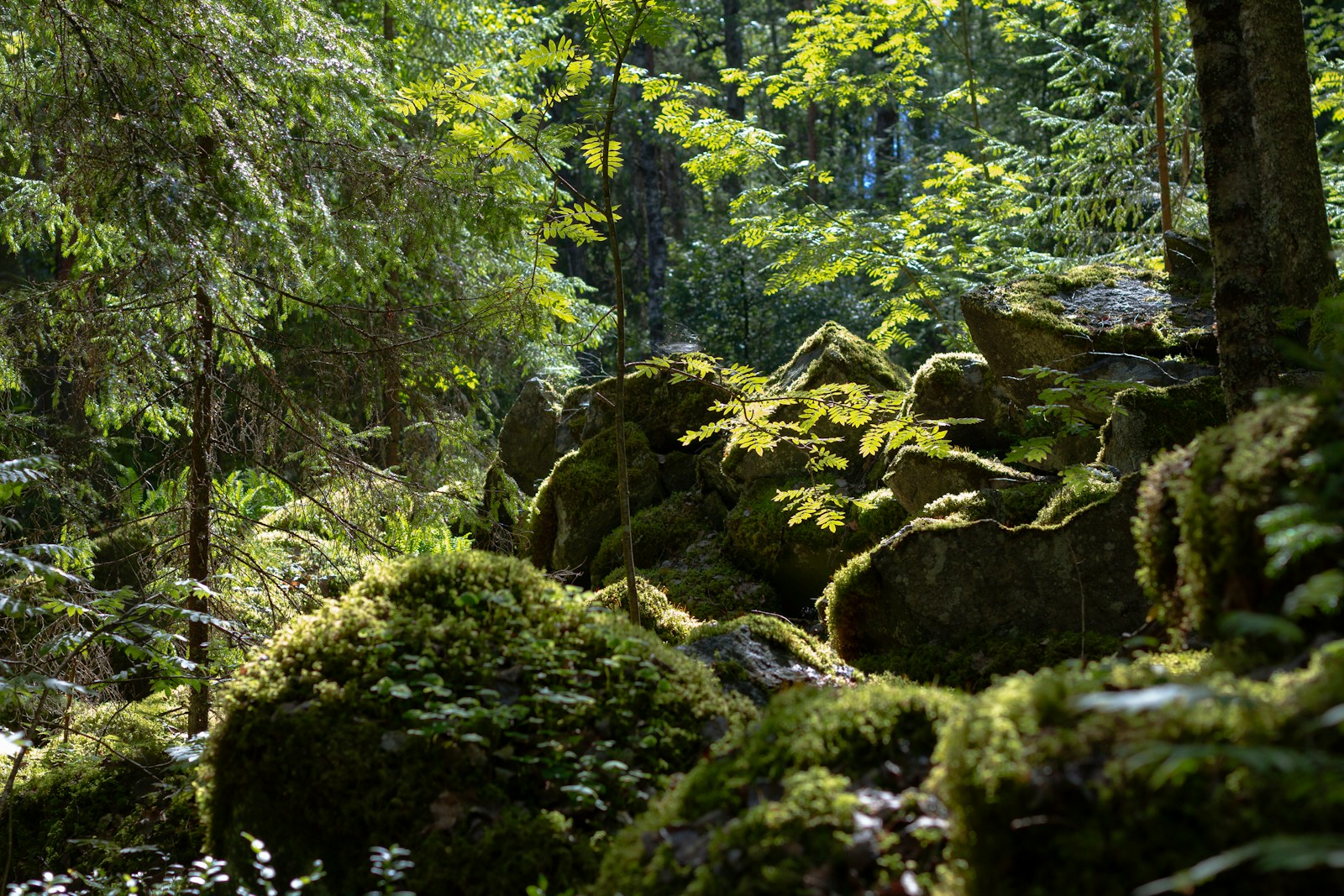 A Comprehensive Guide to Choosing a Treatment Facility in Washington ...